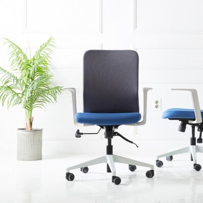 Q1SP-HA-CW - 듀오백